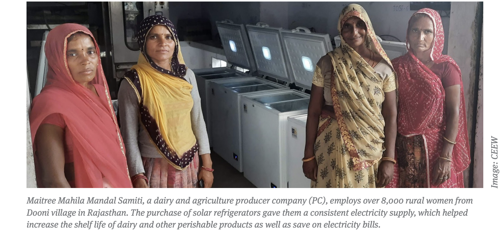 Decentralised Renewable Energy Technologies for Sustainable Livelihoods | CEEW